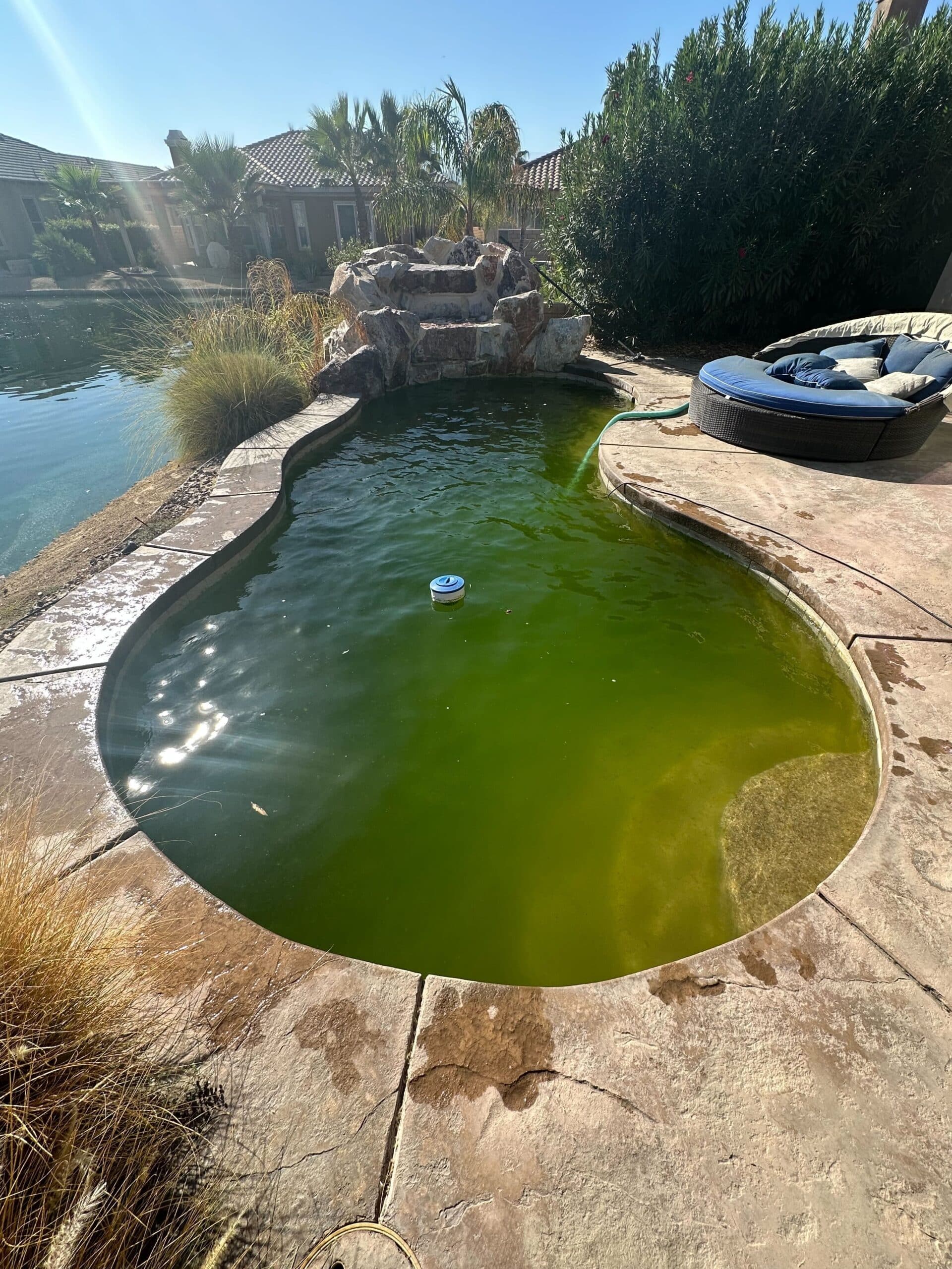 Premier Pool Service | Pool Cleaning & Maintenance Services