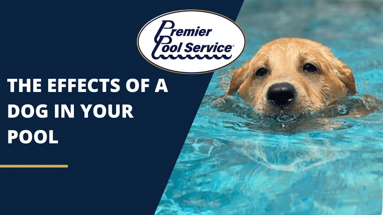 A Step-by-Step Guide to Changing the Sand in Your Sand Filter - Premier ...