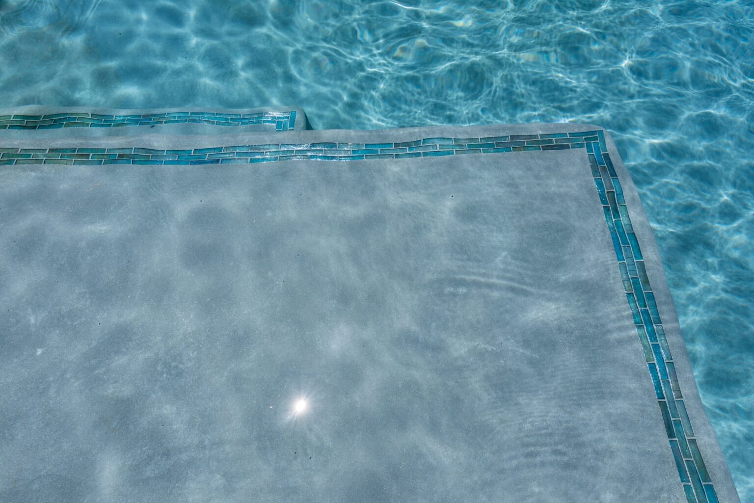 Swimming Pool Bugs Types - Premier Pool Service